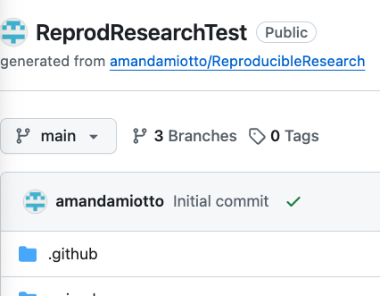 7 Steps towards Reproducible Research: Customise this page for your organisation